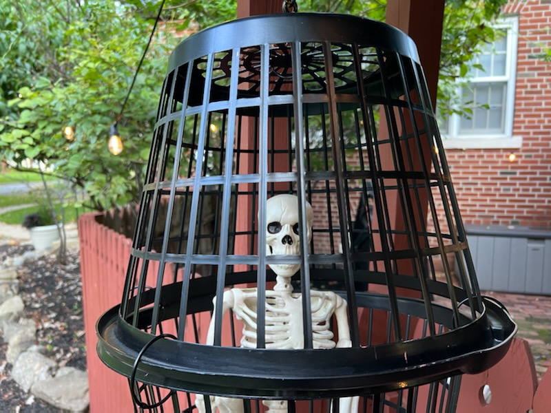 Easy DIY Skeleton Cage Project - Build and Create Home